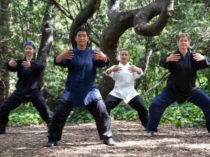 Mastering the Art of Qigong: Tips for Successful Training - LISS Cardio: Low-Intensity Sustained ...